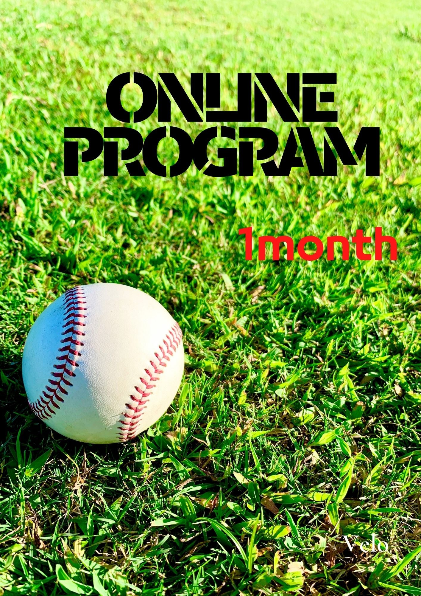 コレクション – VELO STRENGTH